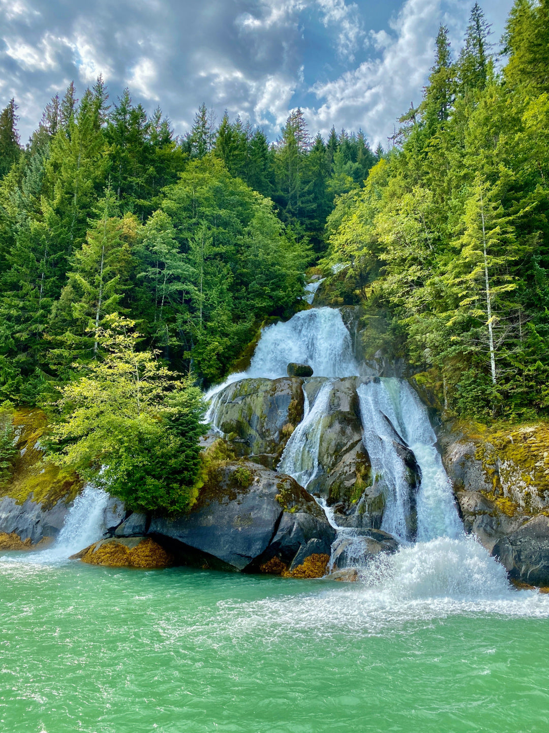 Canadian Rockies Natural Spring Water – CRockies Natural Spring Water